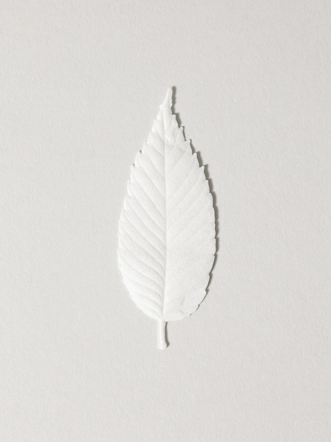 HA KO Paper Incense | Wholesale Japanese Incense & MORIHATA